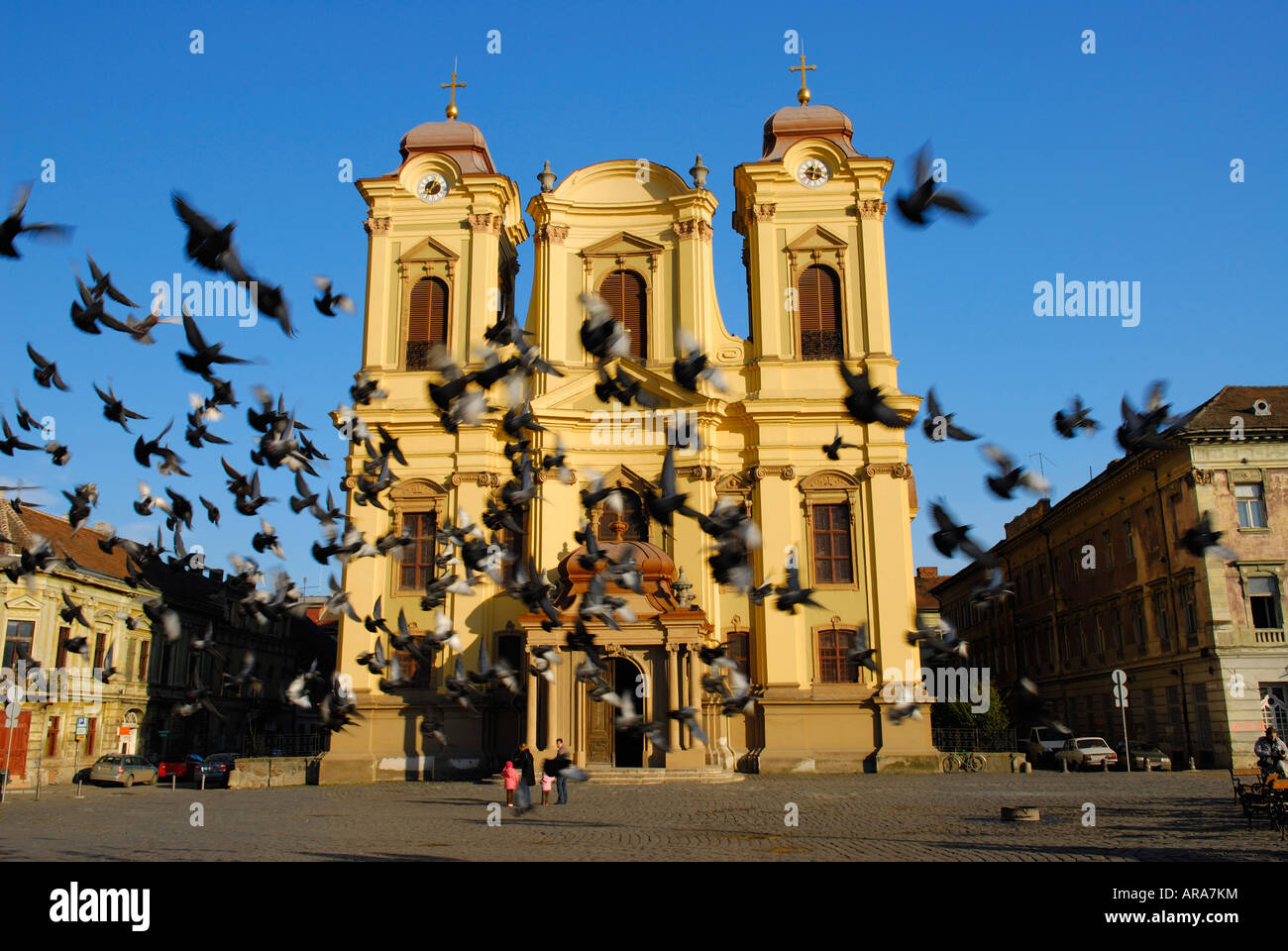 Roman Catholic Cathedral Timisoara Romania Stock Photo - Alamy