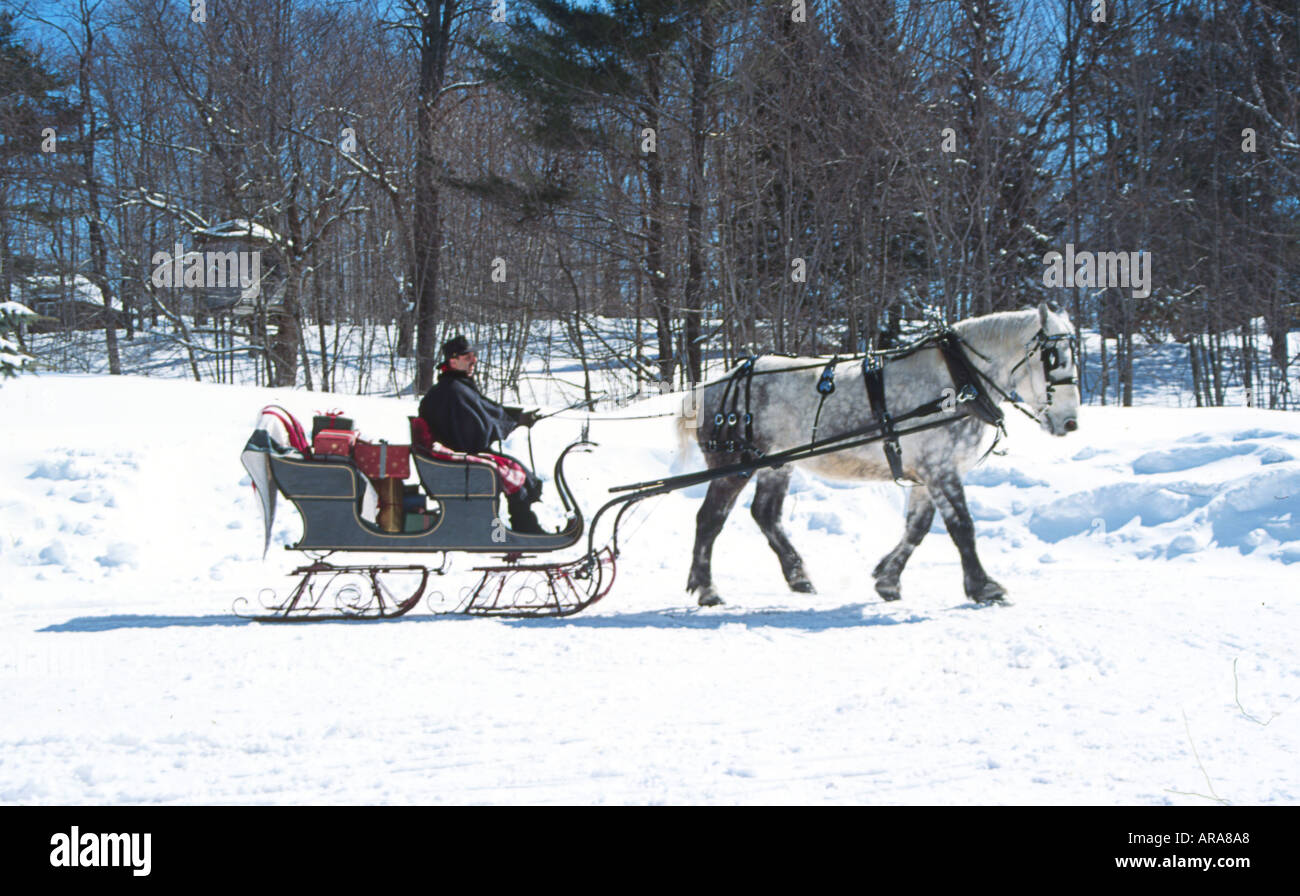 Horse drawn sleigh with christmas presents in Vermont snow USA Stock ...