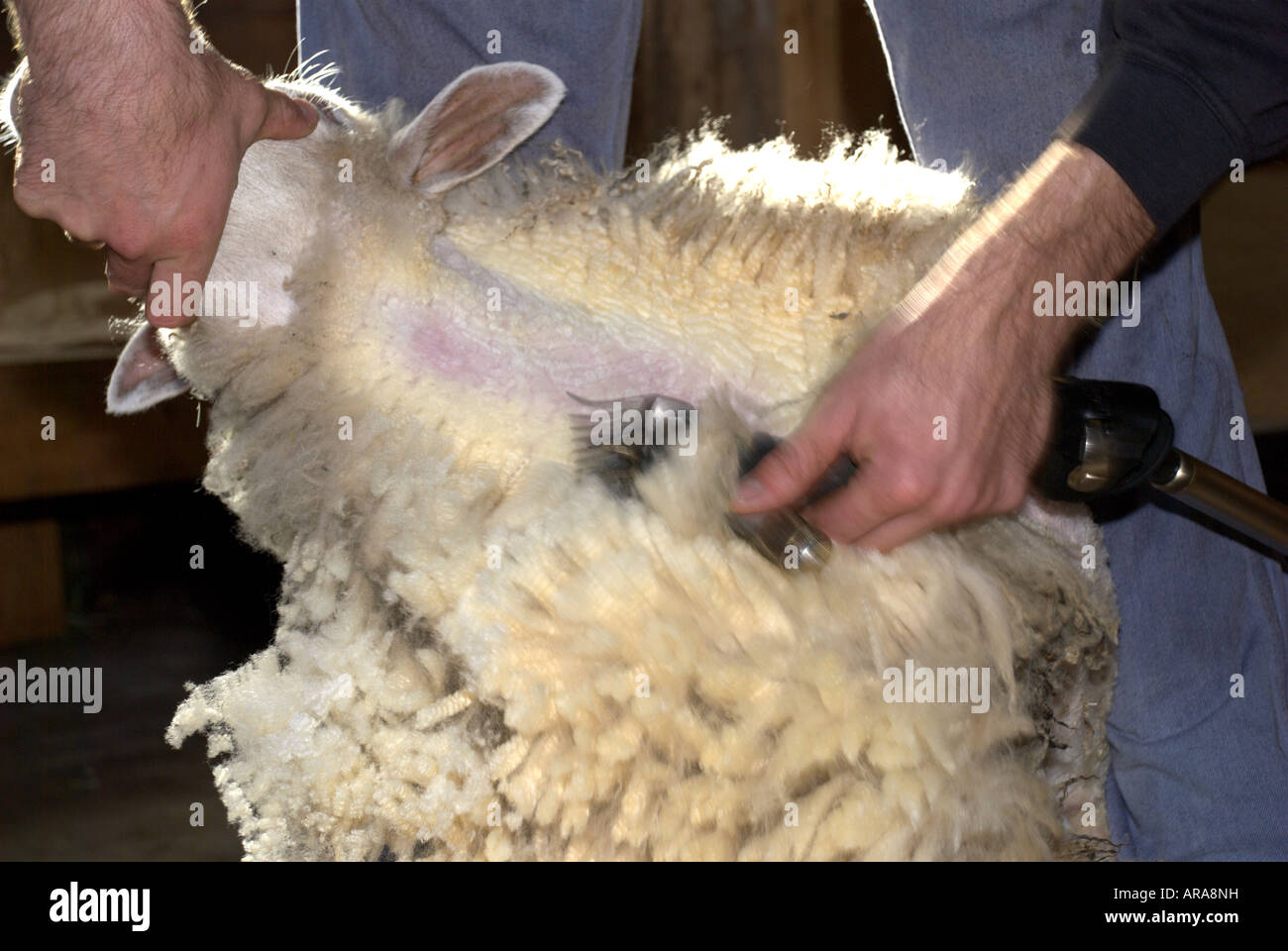 Ceable hi-res stock photography and images - Alamy