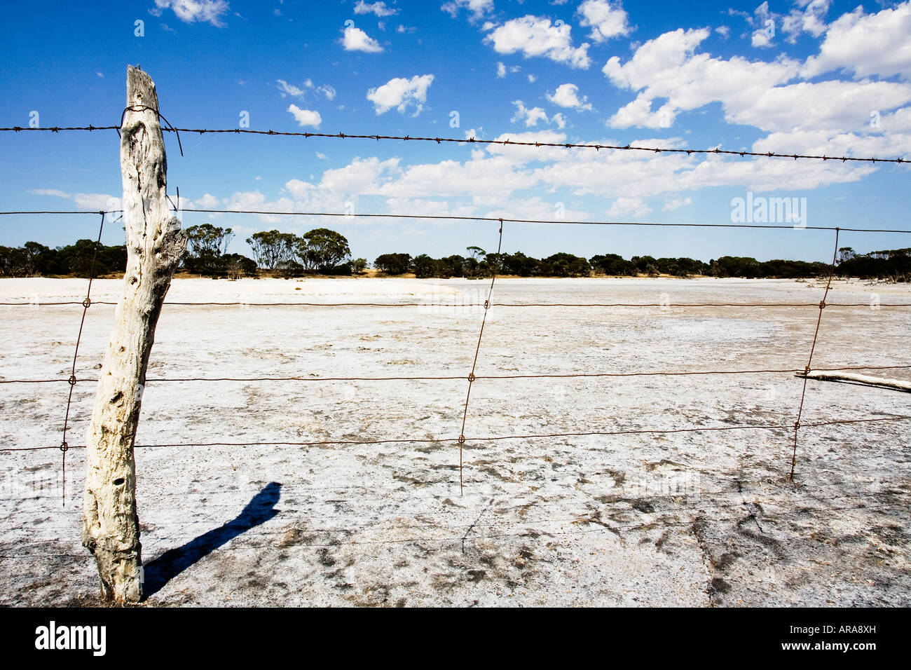Salinity australia farm hi-res stock photography and images - Alamy