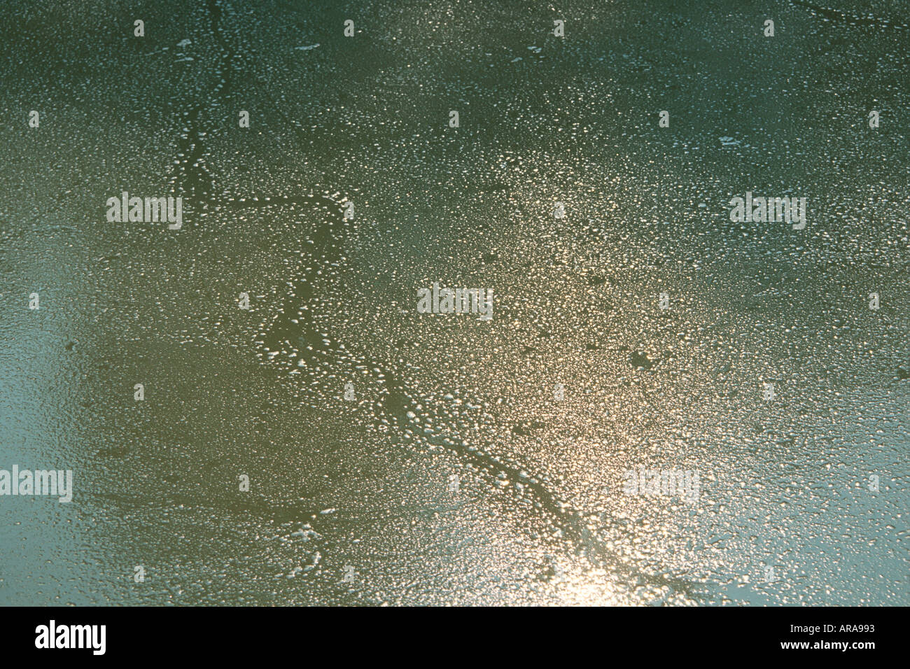 Sluggish water hi-res stock photography and images - Alamy