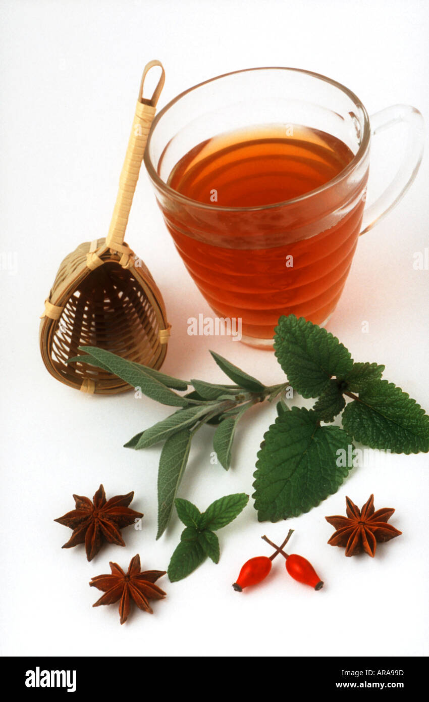 Medicinal herbs infusion Stock Photo - Alamy