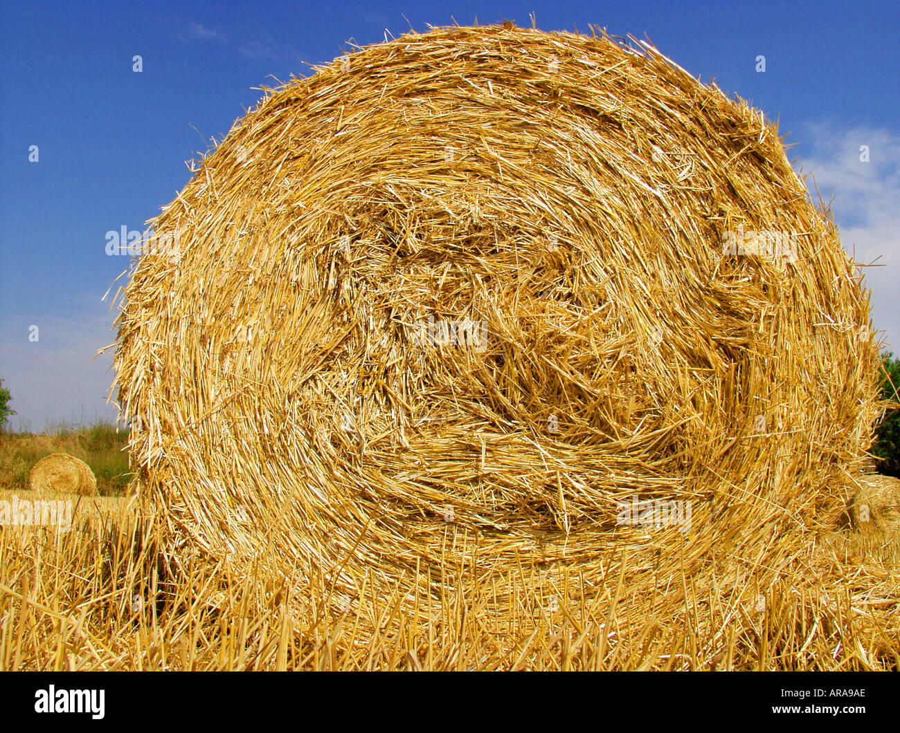Bale of fiber hi-res stock photography and images - Alamy