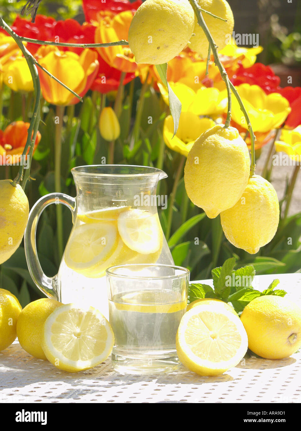 Lemonade in garden Stock Photo - Alamy