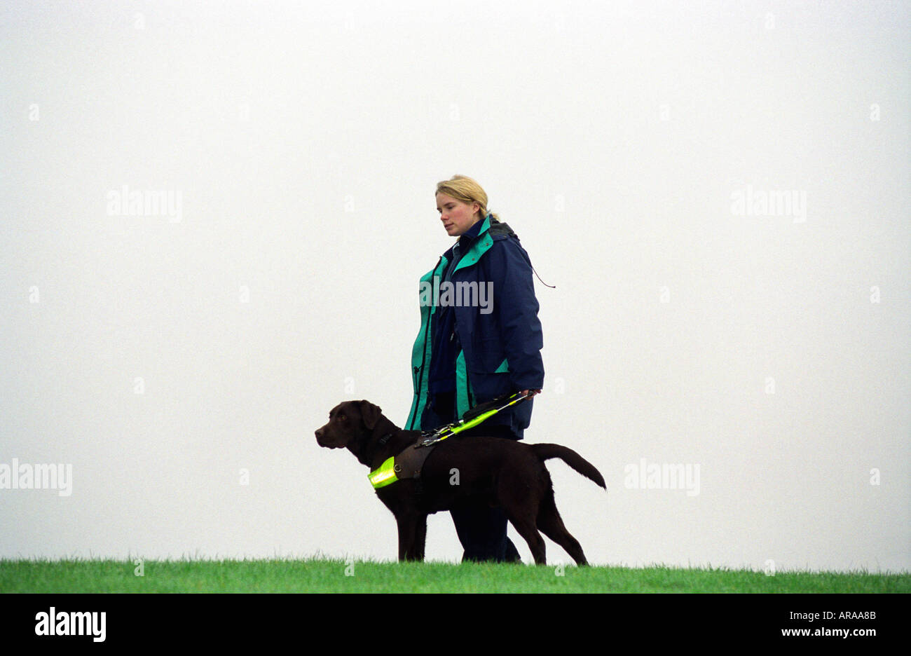 Women training guide dog hi-res stock photography and images - Alamy
