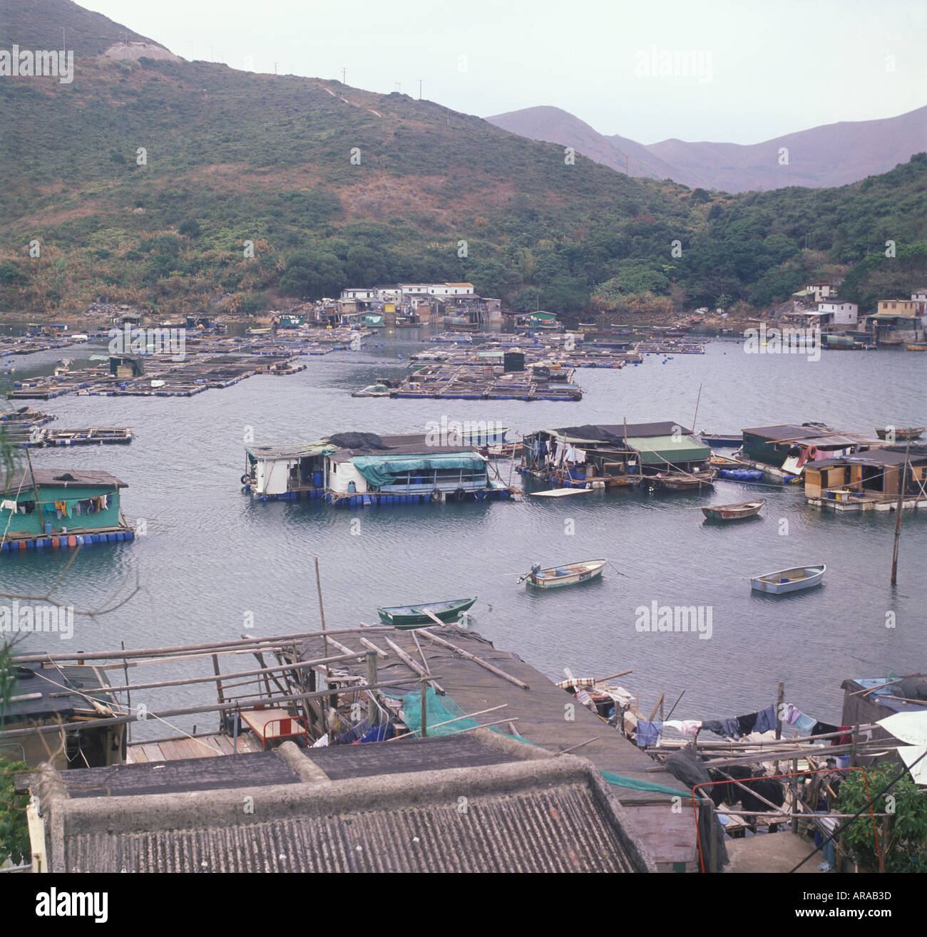 Po toi hong kong hi-res stock photography and images - Alamy