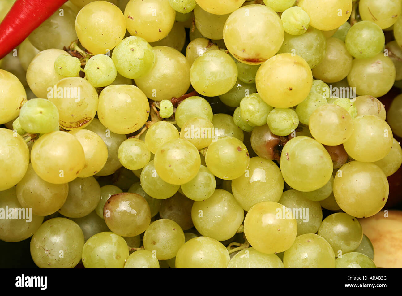 Pulp industries hi-res stock photography and images - Alamy