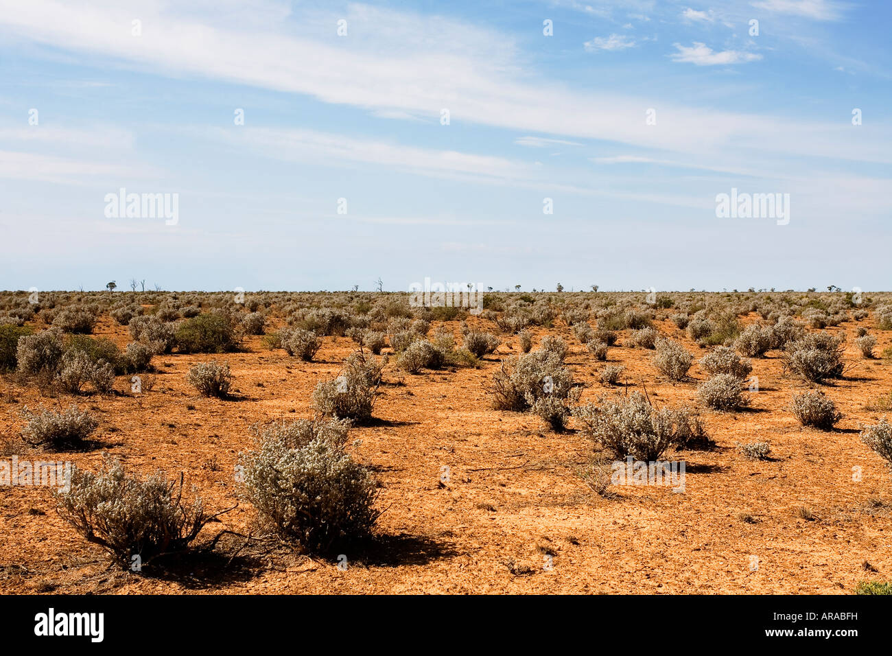 The Nullarbor plain Australia Stock Photo - Alamy