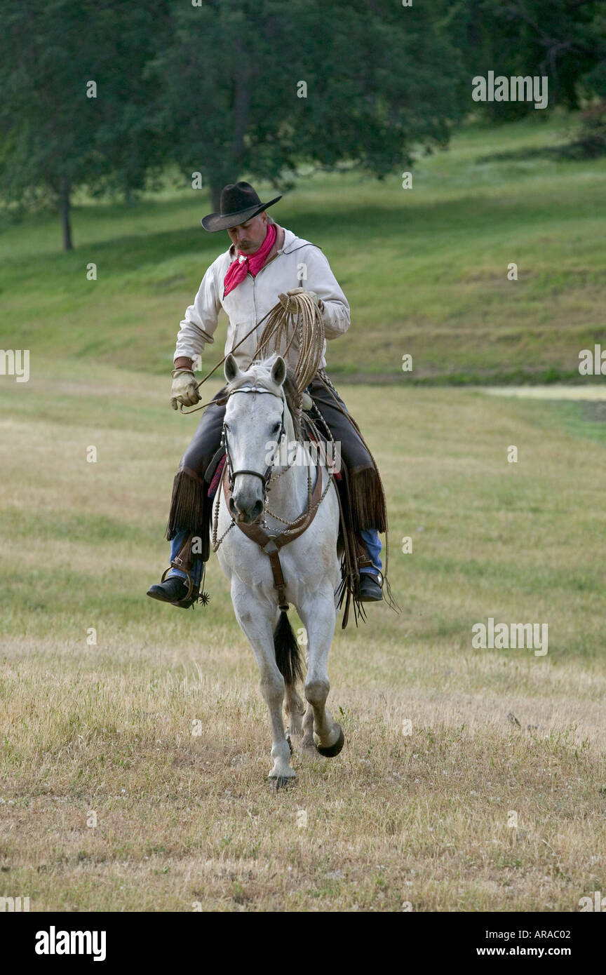 cowboy and horse on the ranch Stock Photo - Alamy