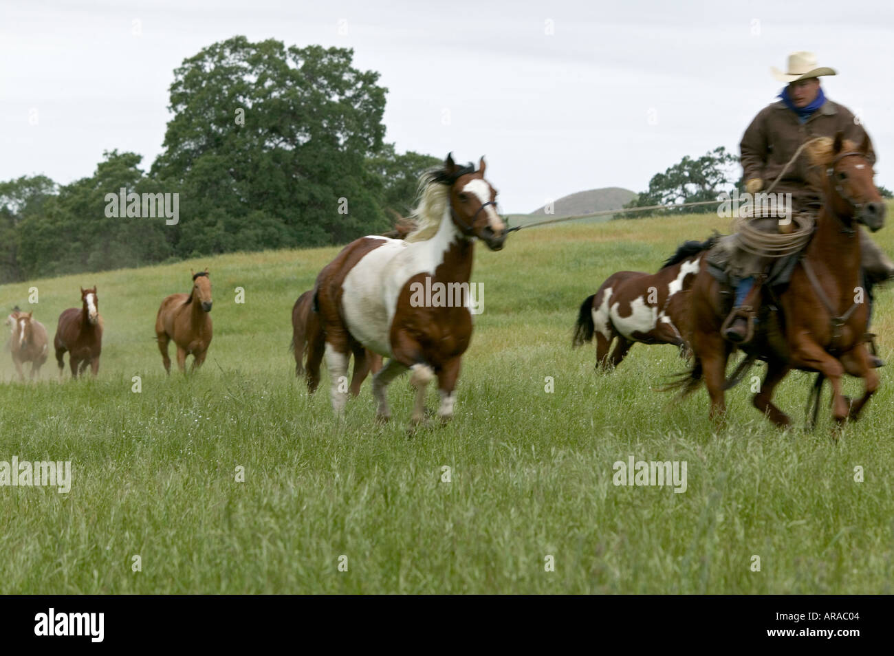 Cigarette running hi-res stock photography and images - Alamy