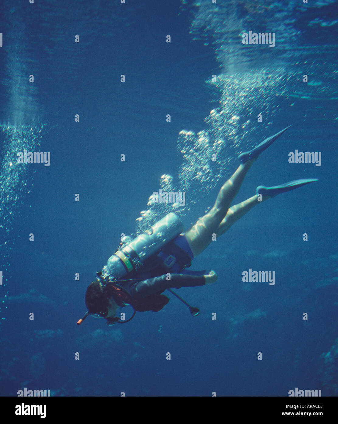 skin divers exploring Florida spring caves Stock Photo - Alamy