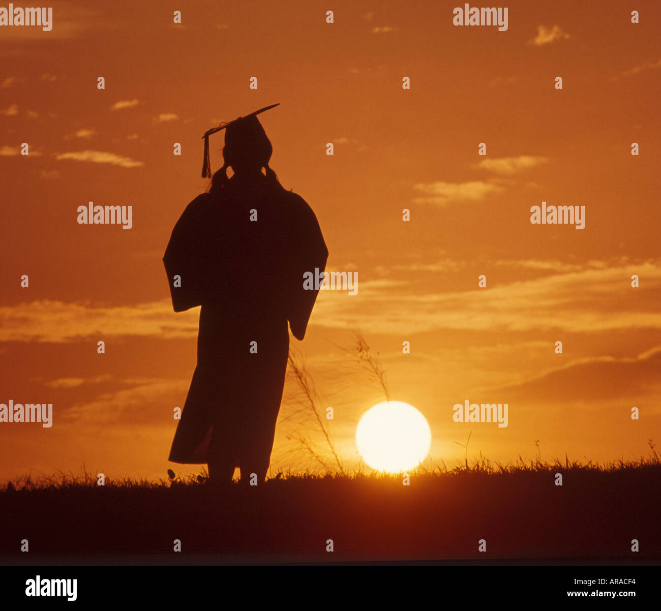 The graduate hi-res stock photography and images - Alamy