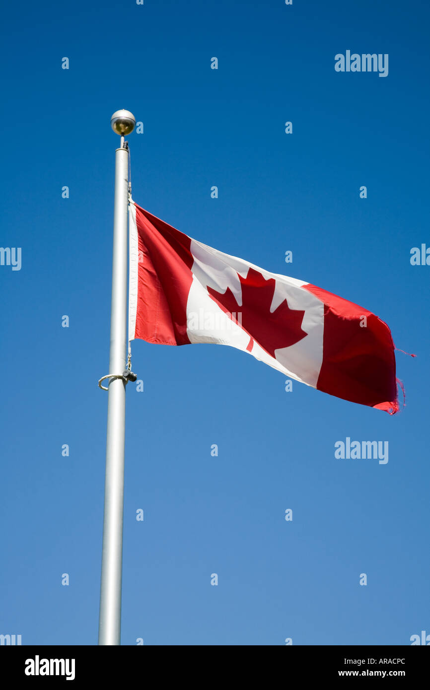 Canadian flag flying in Pacific Rim national park Vancouver island ...