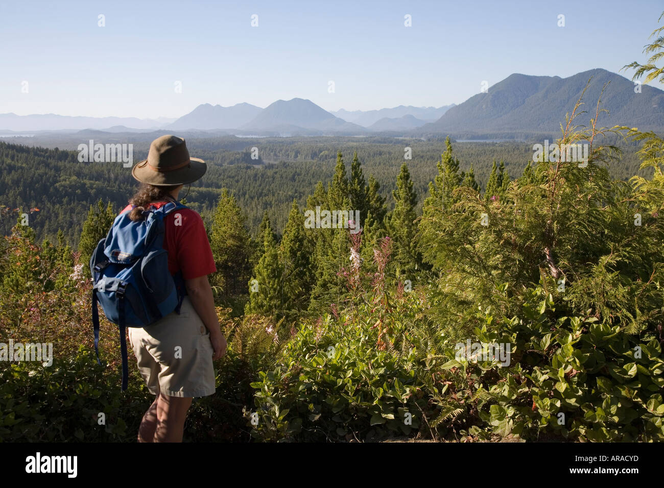 Meares Island and Mount Colnett on right from Radar Hill near Tofino ...