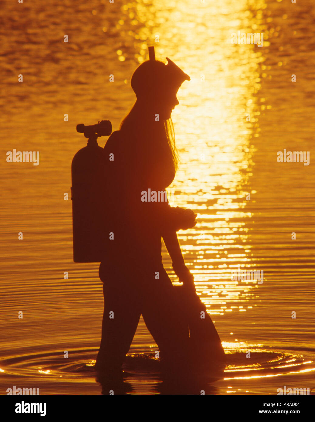 Female skin diver hi-res stock photography and images - Alamy