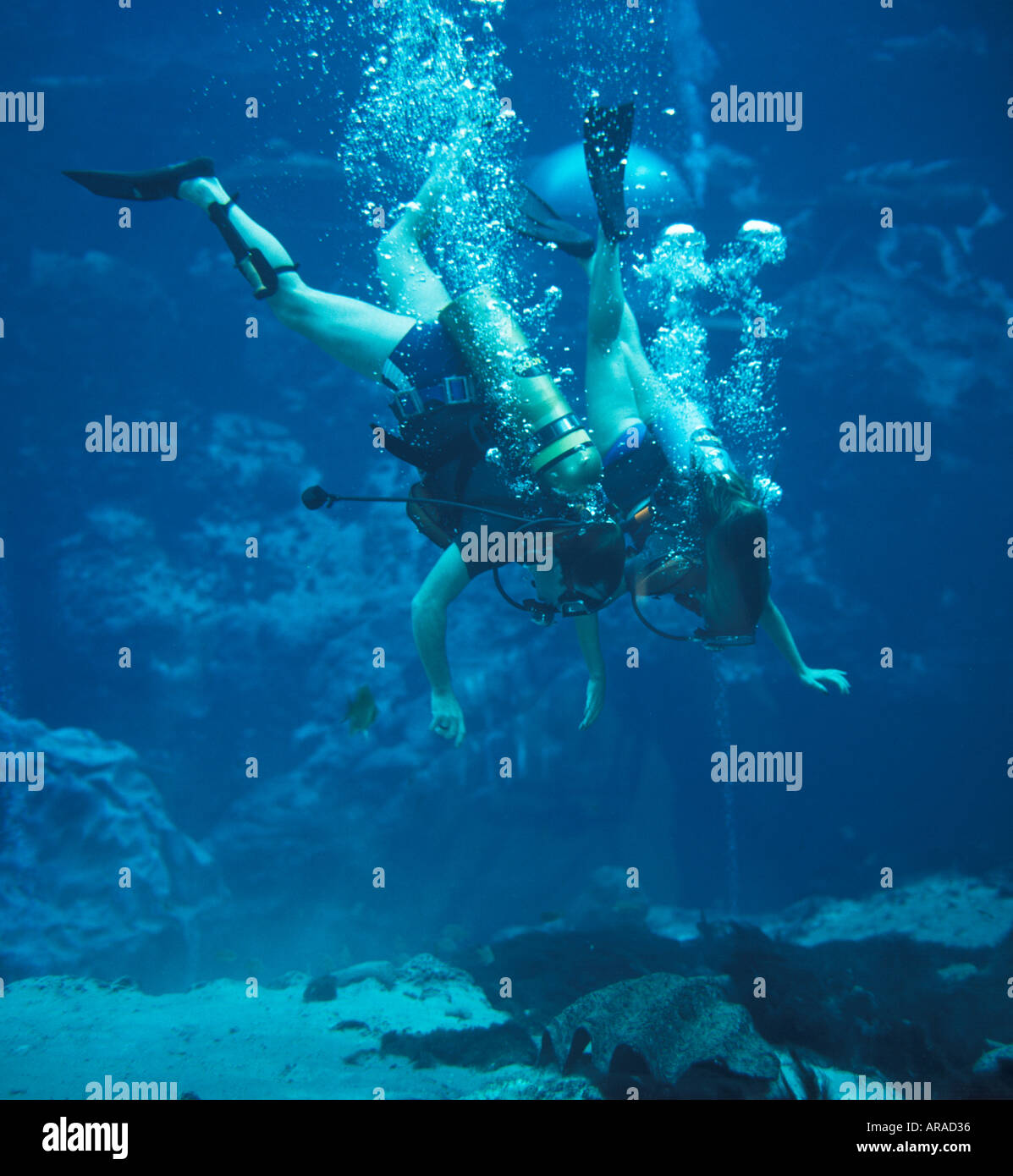 skin divers exploring Florida spring caves Stock Photo - Alamy
