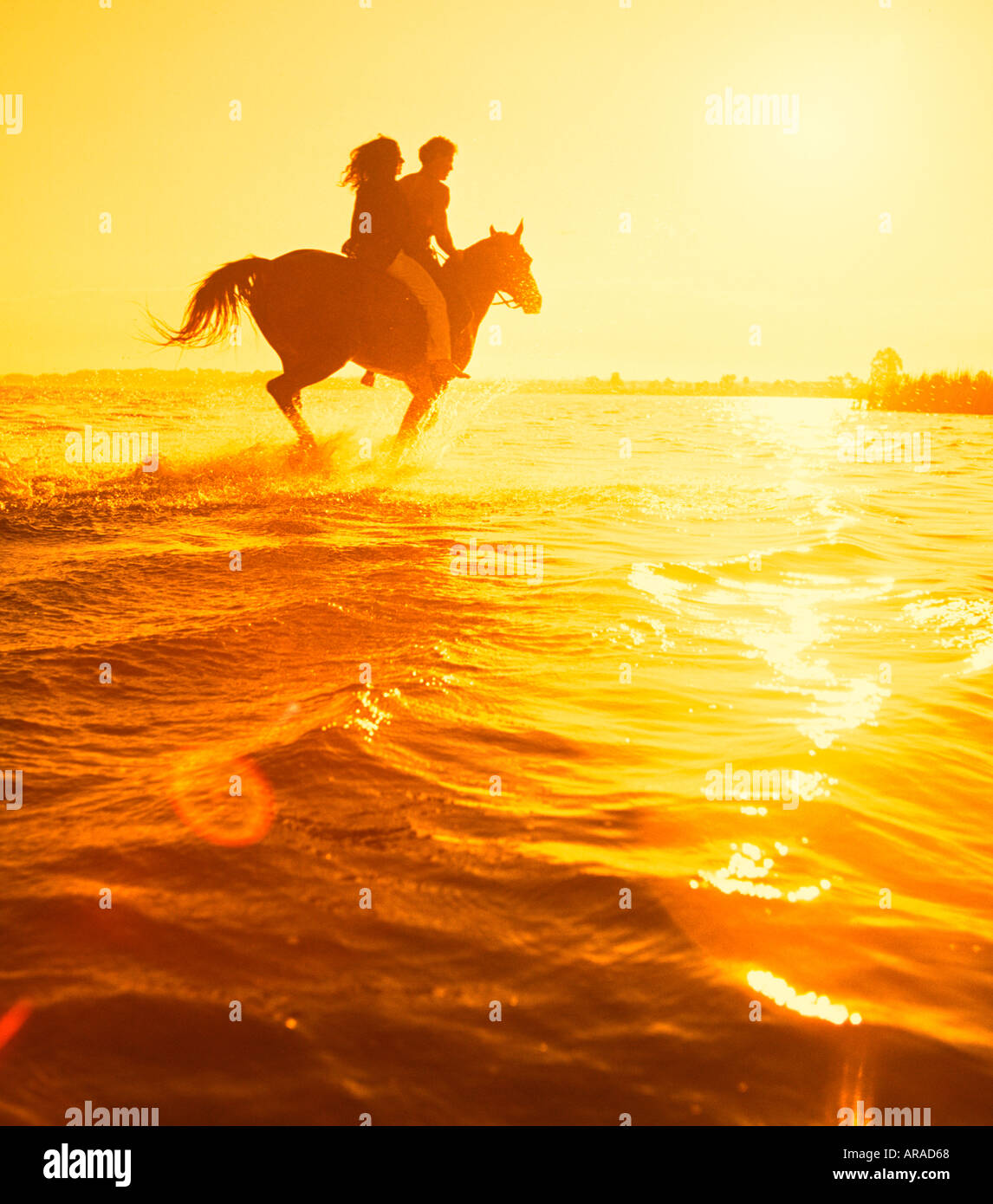 couple riding double on horse in shallow water at sunrise Stock Photo ...