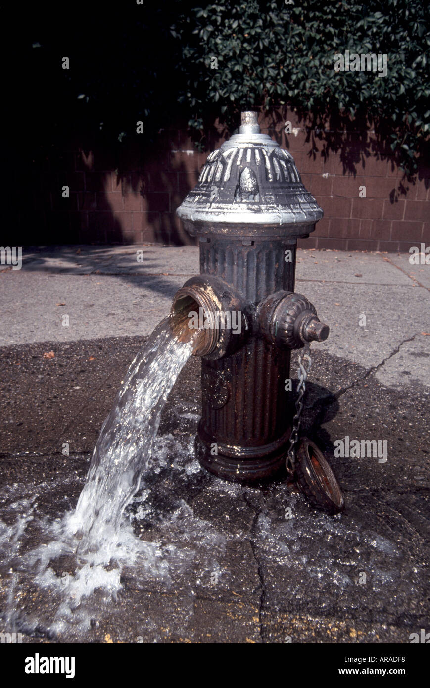 Water gushes from an open fire hydrant Stock Photo - Alamy