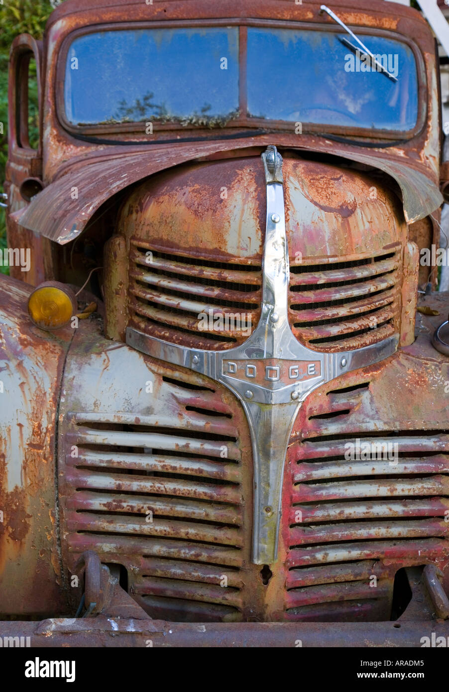 Rusty old Dodge truck Vancouver island Canada Stock Photo - Alamy