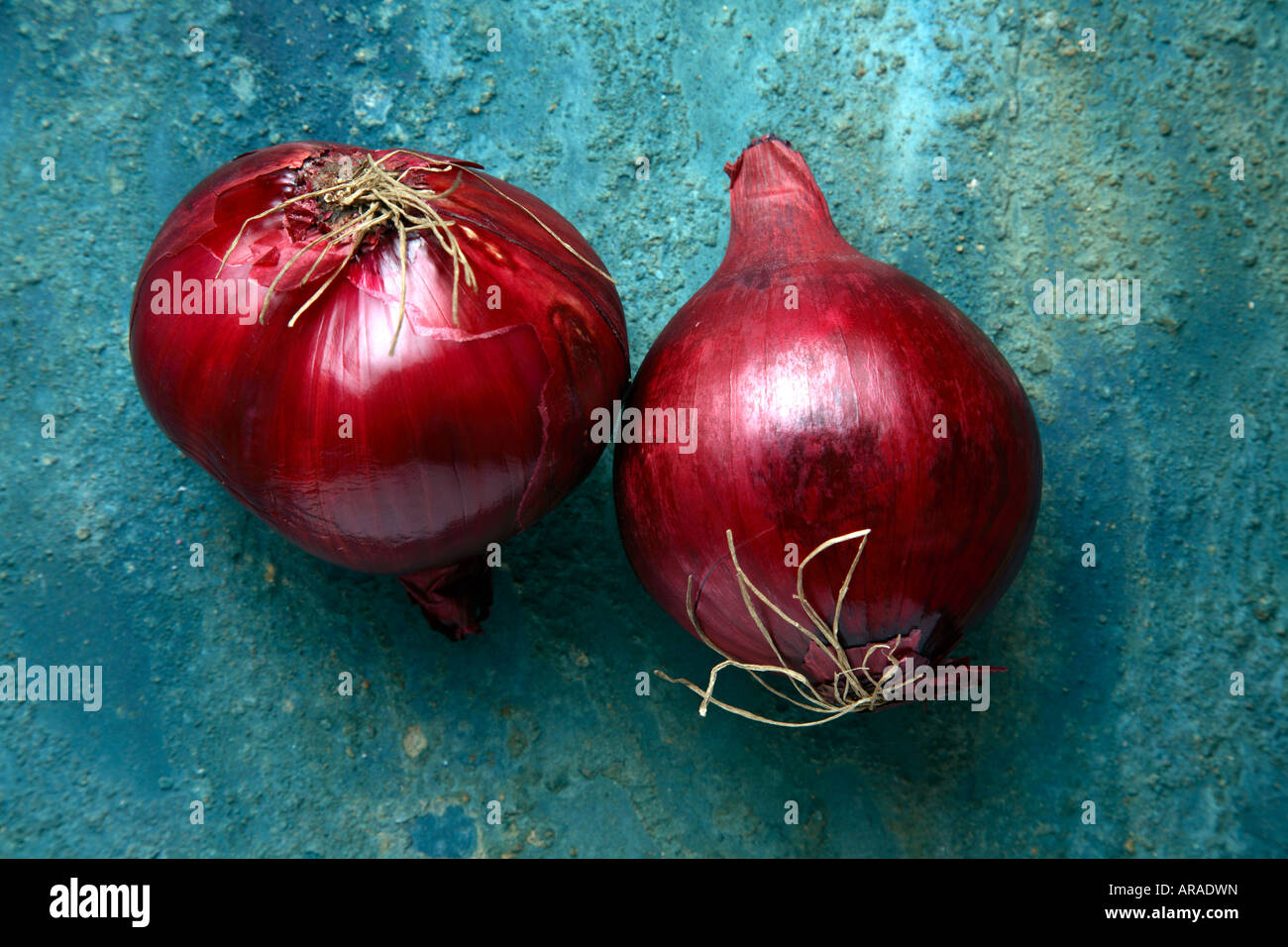 Blue onions hi-res stock photography and images - Alamy