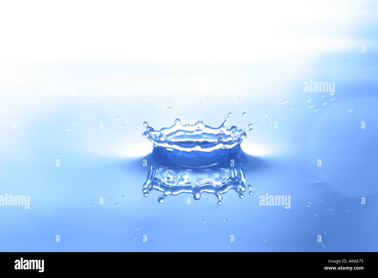 Detail water drop waterdrop hi-res stock photography and images - Alamy