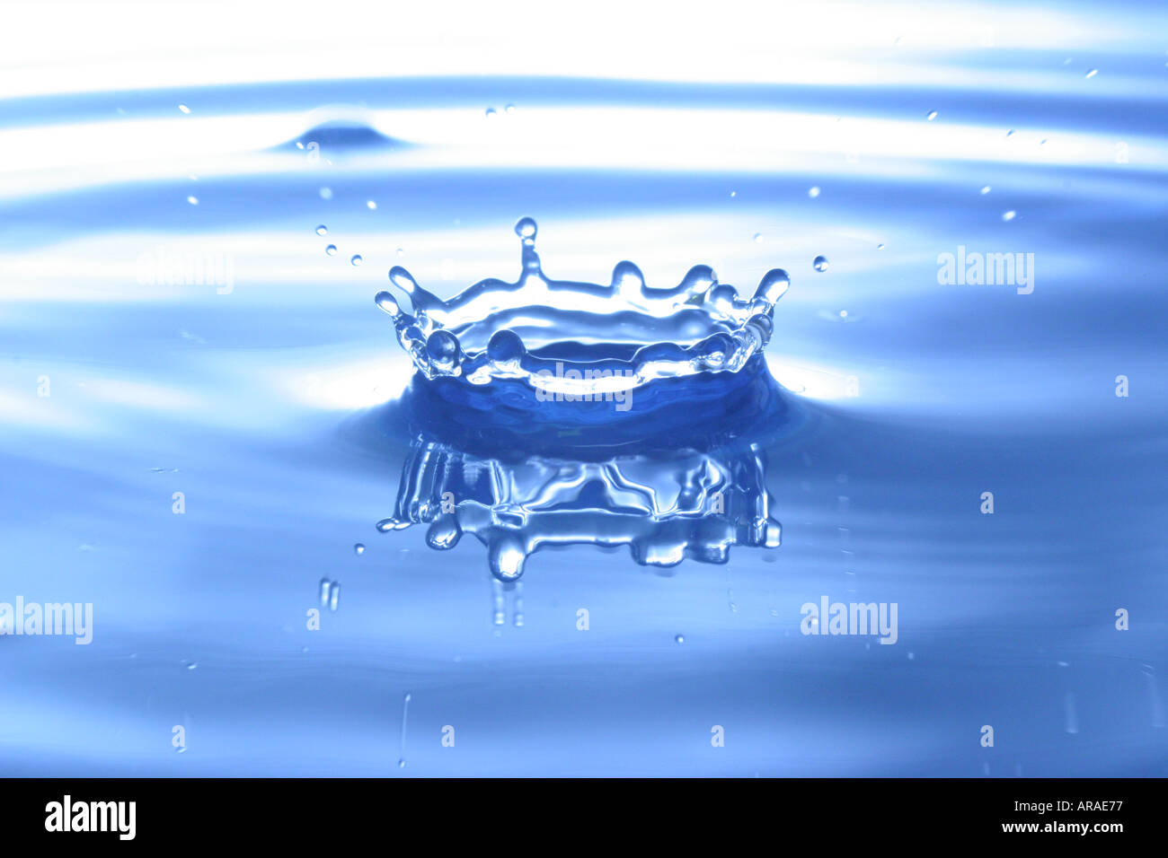 Detail water drop waterdrop hi-res stock photography and images - Alamy
