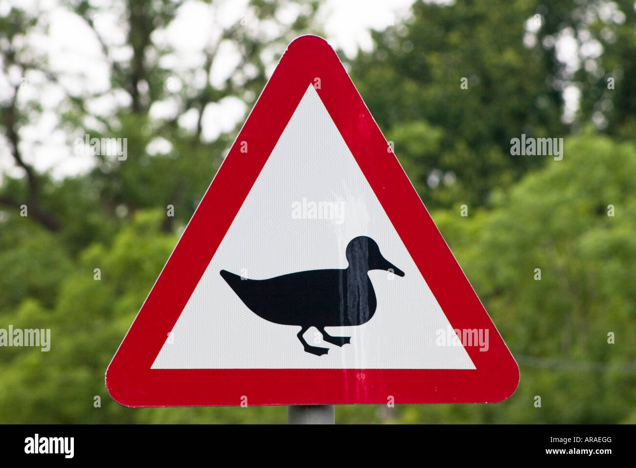 Triangular Pond Sign High Resolution Stock Photography and Images - Alamy
