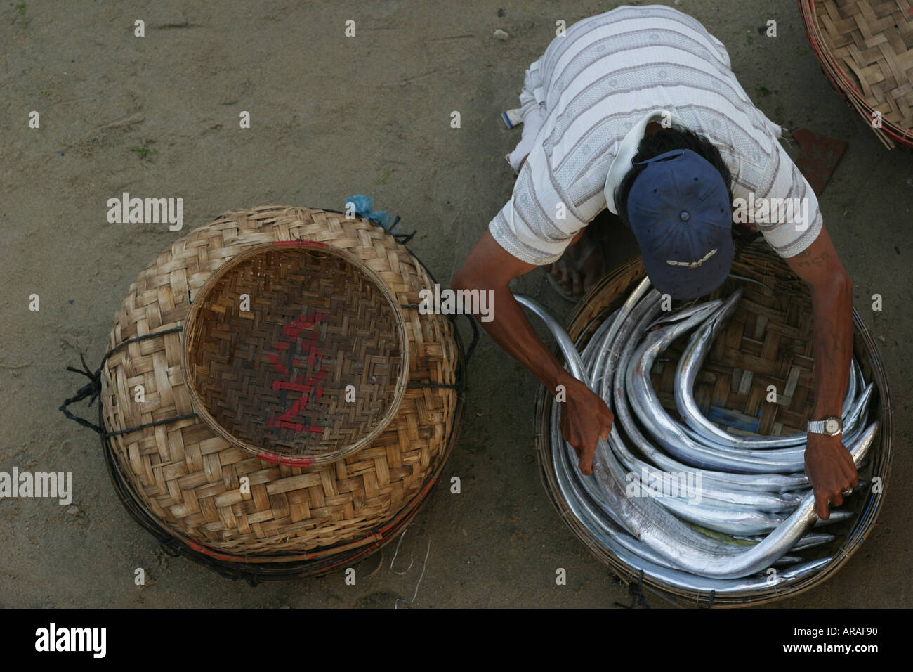 Fish market trader with eels Nha Trang Vietnam Stock Photo - Alamy