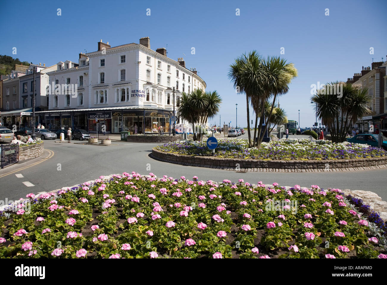 Flower beds and tropical trees in centre of Llandudno town Wales UK ...