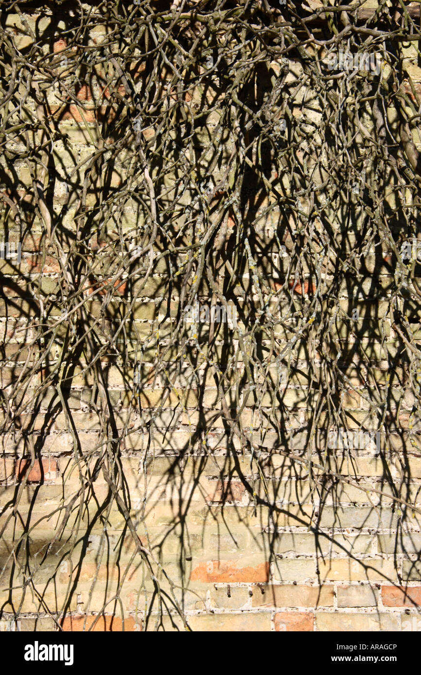 Rustic Old Wall Stock Photo - Alamy