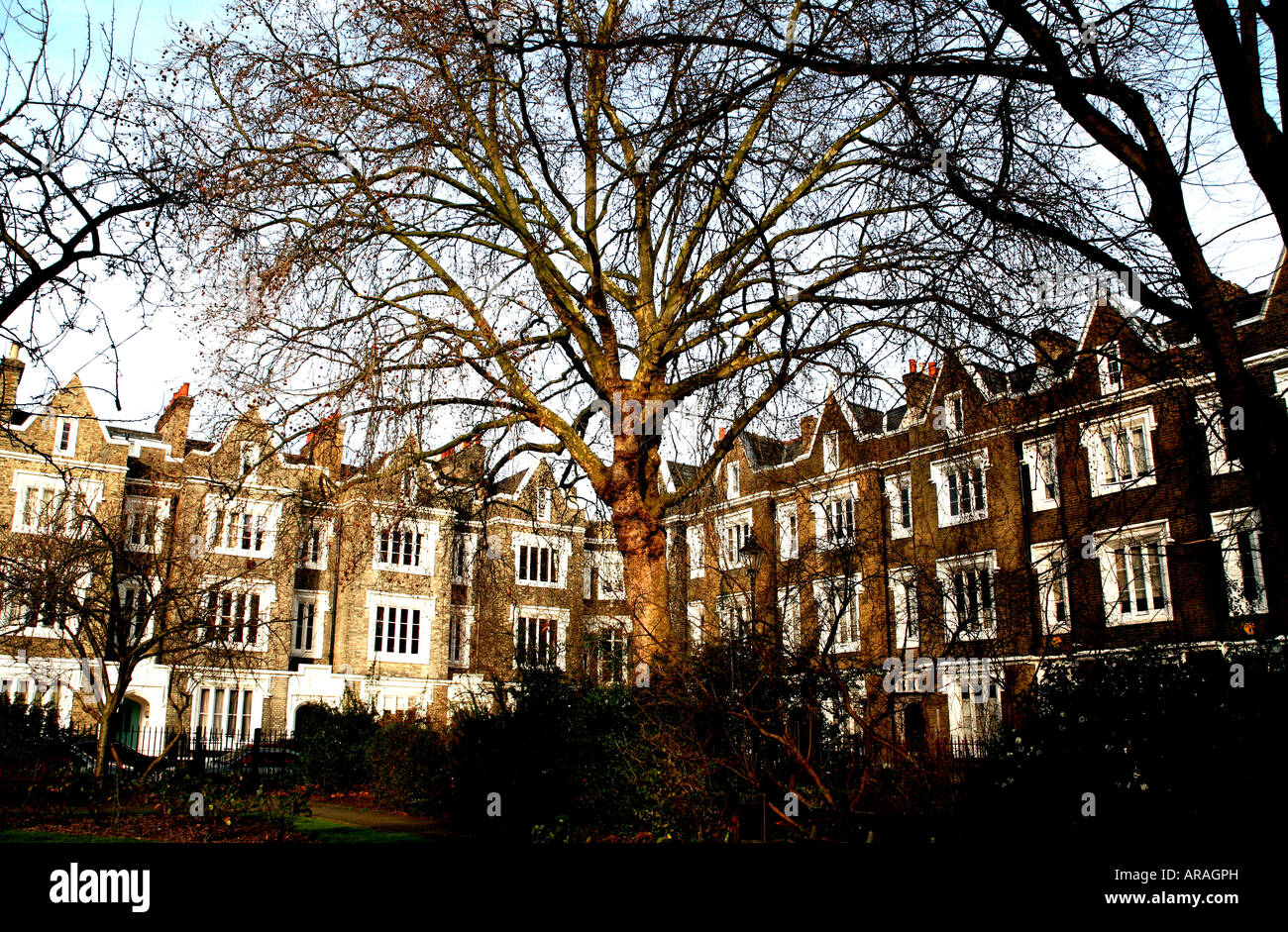 Lonsdale square hi-res stock photography and images - Alamy