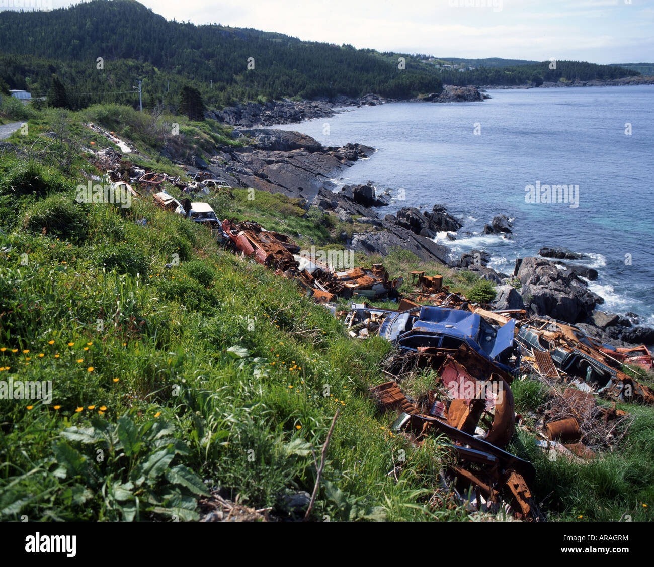 Environment clean-up Garbage deposit and polluted Coastline in ...