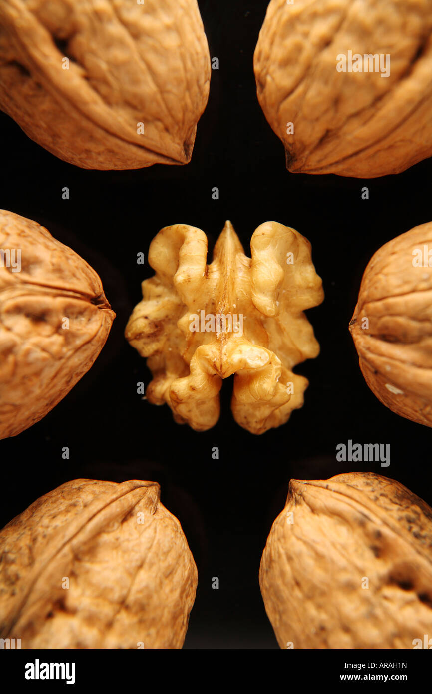 Whole walnuts surrounding a shelled walnut Stock Photo - Alamy