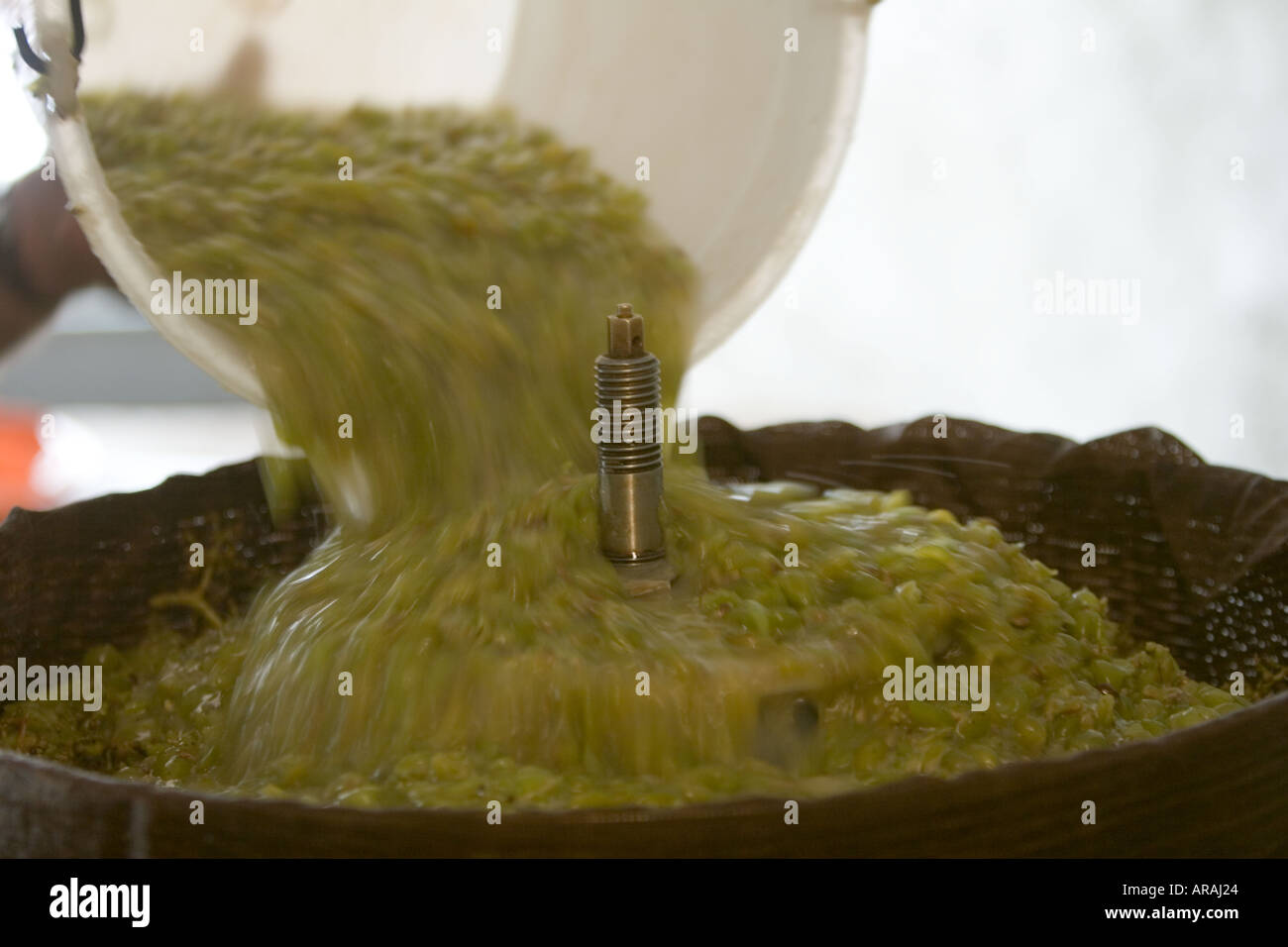 Grape pulp being poured into wine press Stock Photo - Alamy