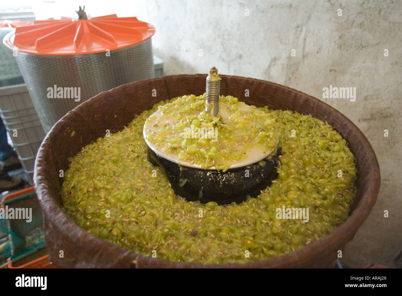 grapes inside a modern wine press before the lid goes on Stock Photo ...