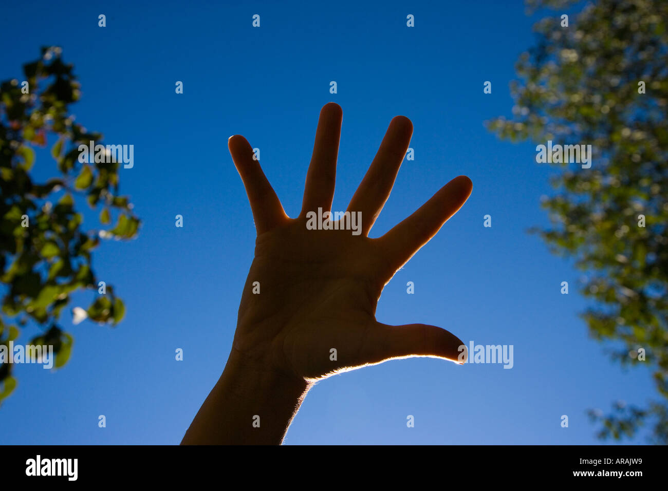 Hand open on sky hi-res stock photography and images - Alamy