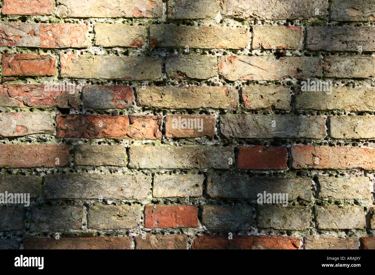 Pitted wall hi-res stock photography and images - Alamy