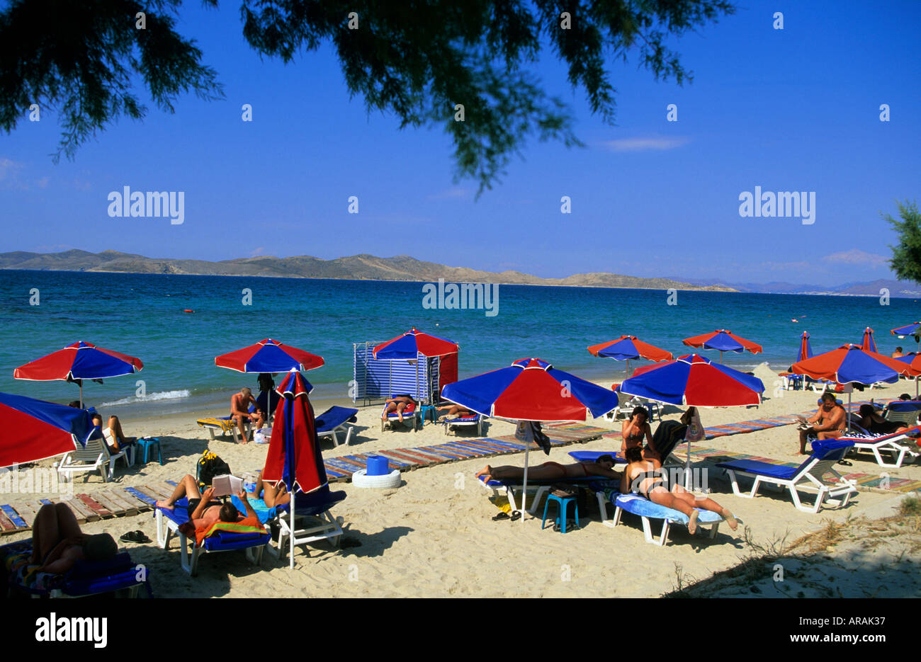 greece dodecanese kos the beach at tingaki Stock Photo - Alamy