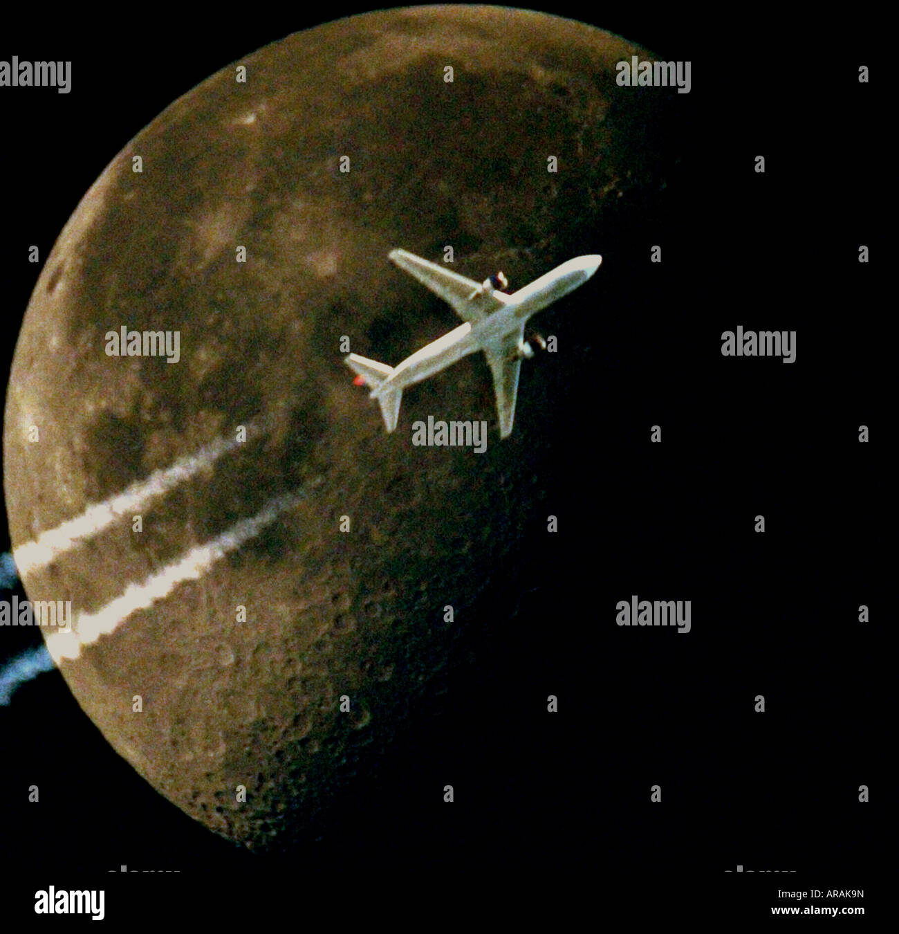 800mm lens hi-res stock photography and images - Alamy