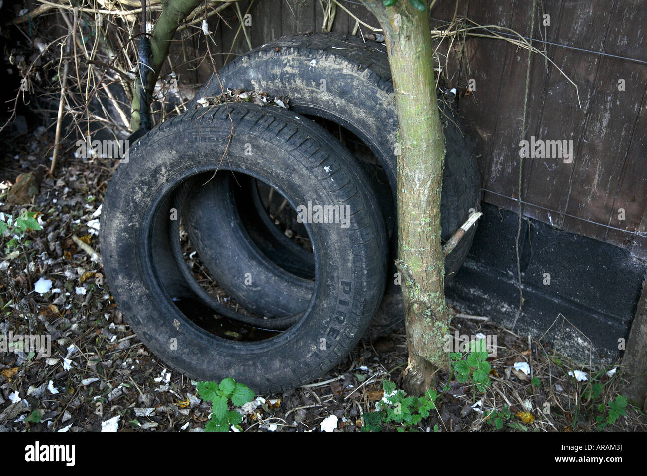 Dumped Tyres next to a tree Stock Photo - Alamy