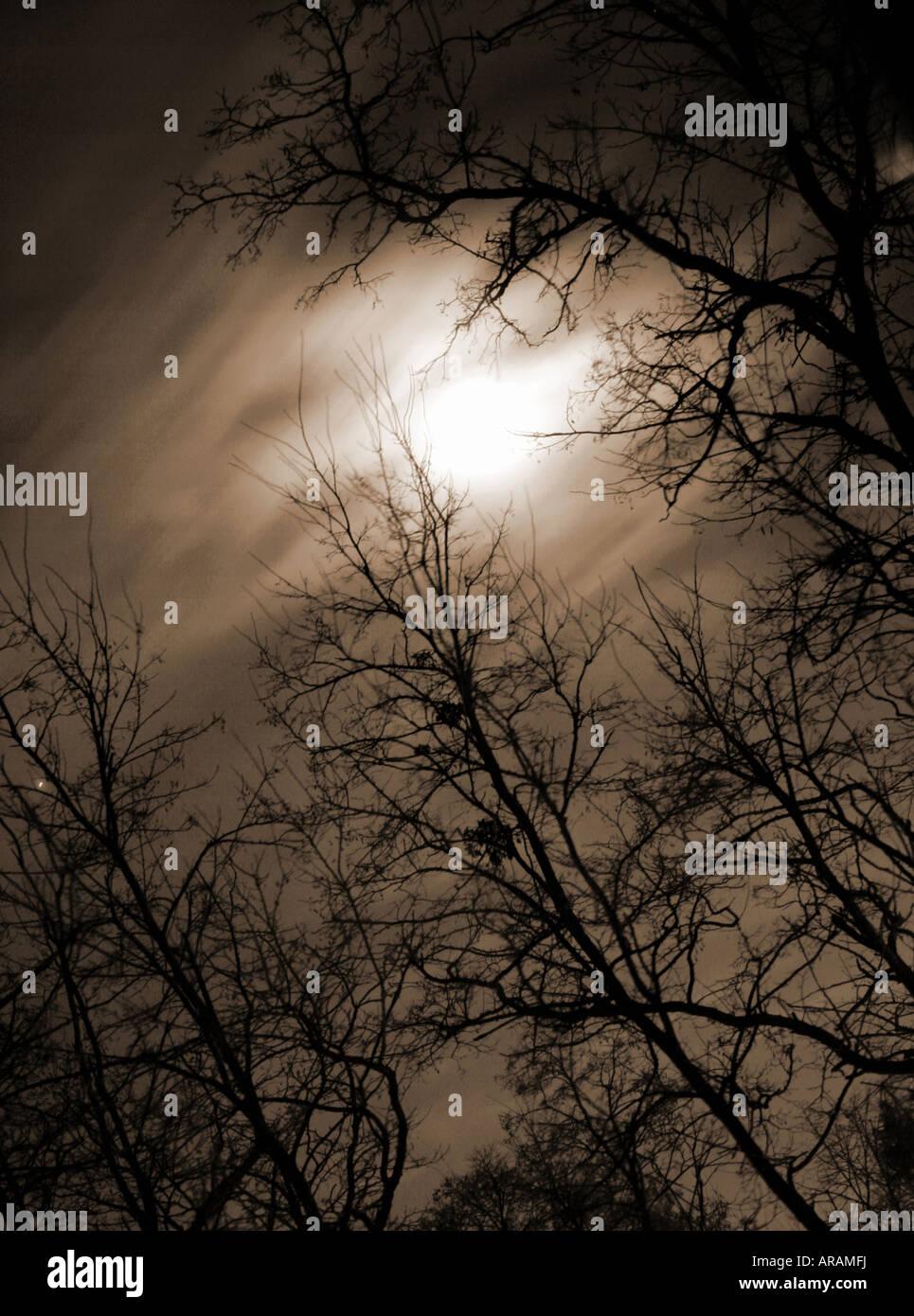 Night nature background Stock Photo - Alamy