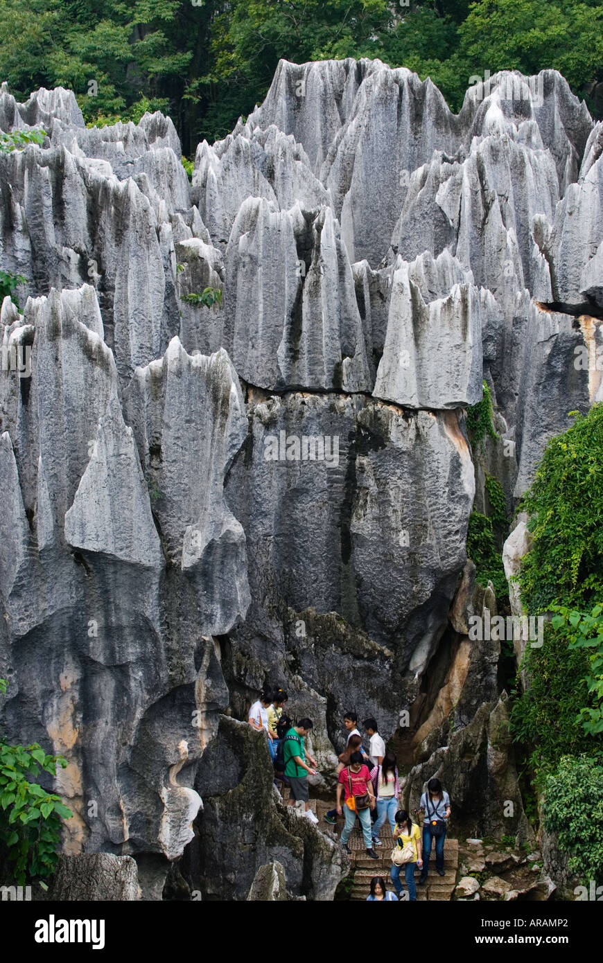 Visitors wind their way through towering Karst limesone formations that ...