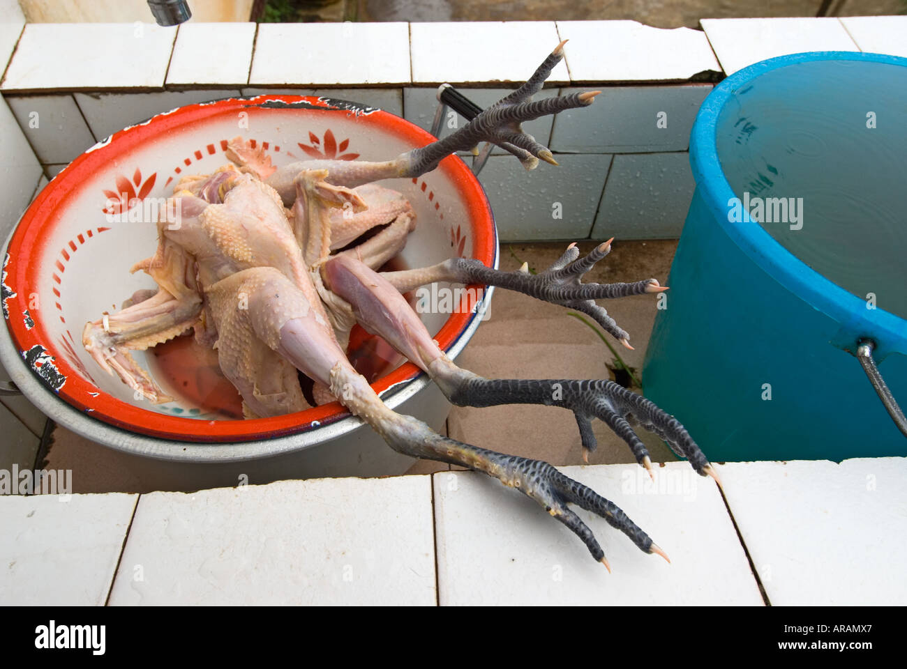 Plucked chickens hi-res stock photography and images - Alamy