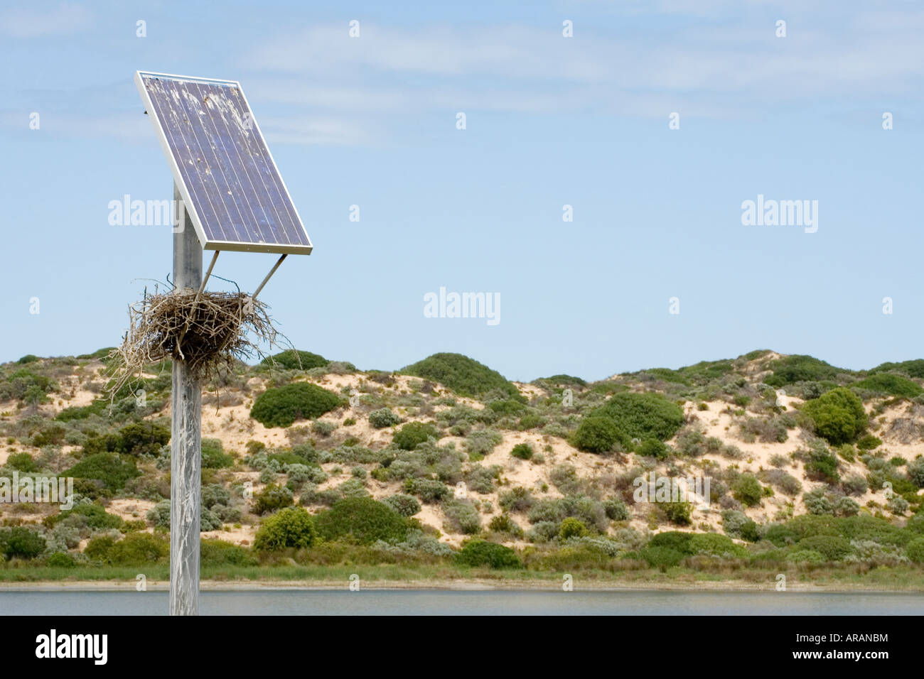 While capturing the power of the sun solar panels provide shade for the ...