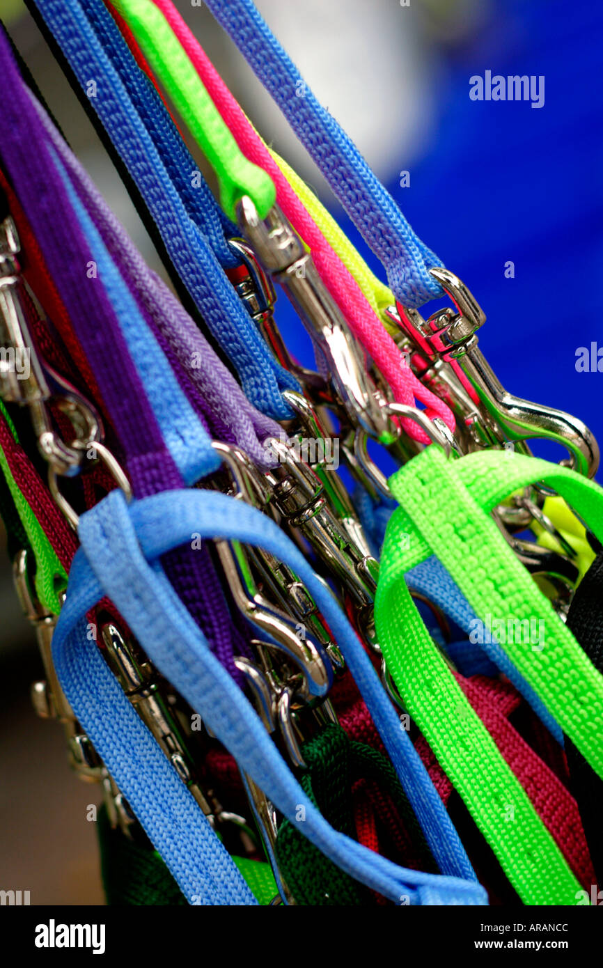 Colorful cat leash ribbon Stock Photo - Alamy
