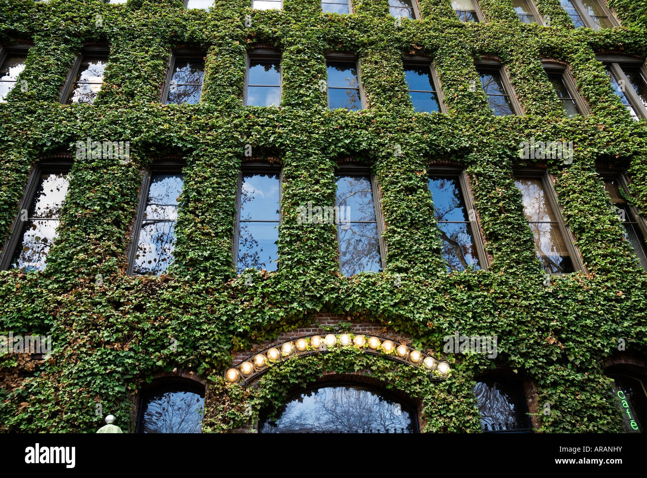 Ivy covered Grand Central Arcade building in historic district of ...