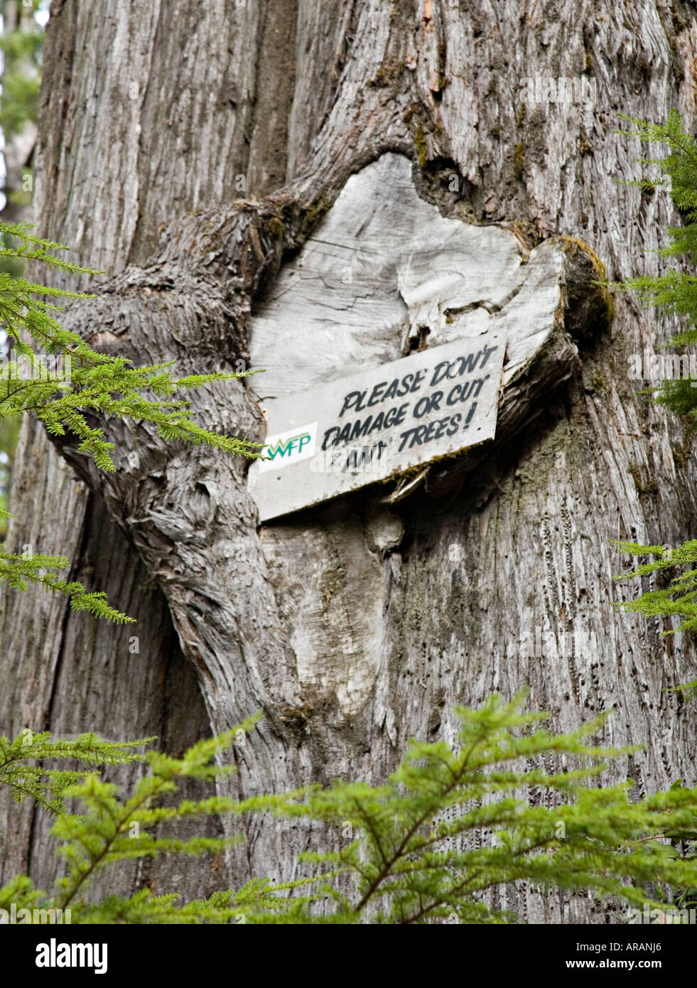 Tree Cutting Warning Sign High Resolution Stock Photography and Images ...