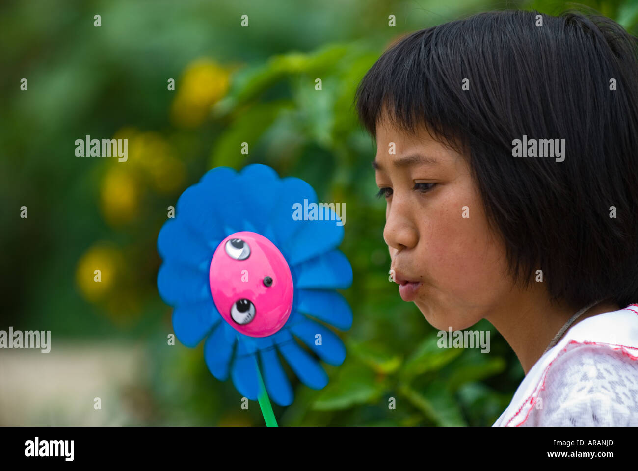 Chinese pinwheels hi-res stock photography and images - Alamy