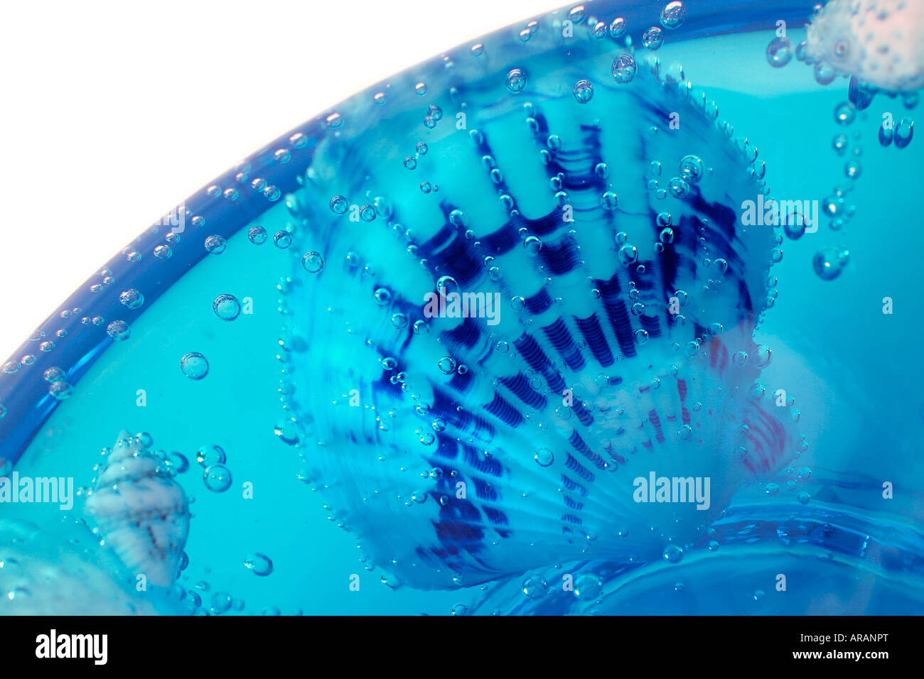 Conch structures hi-res stock photography and images - Alamy