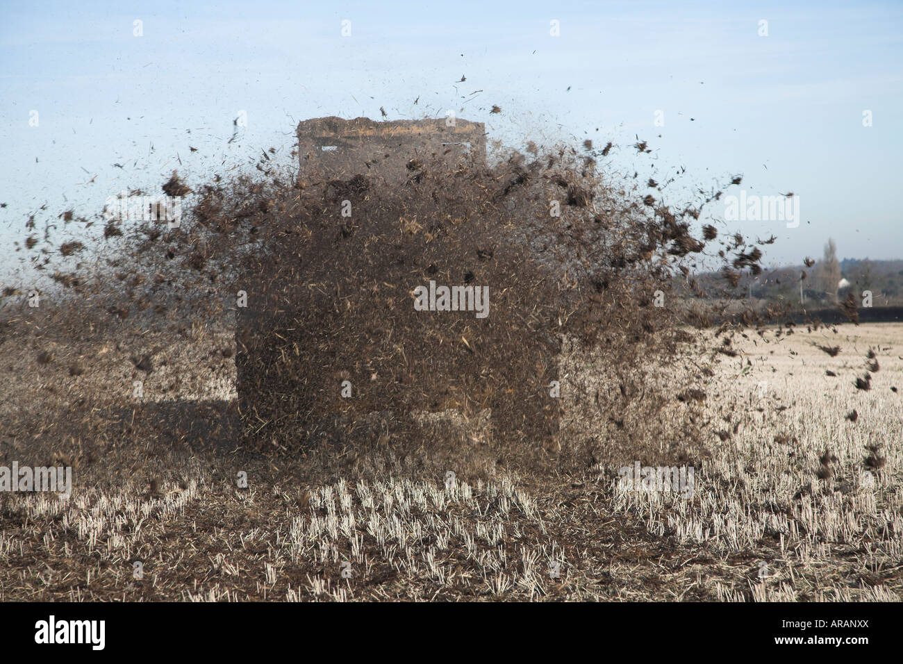 Rear view of tractor muck spreading over field of stubble Stock Photo ...